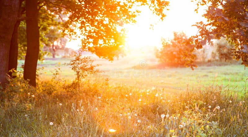 Sunset in a Forest SettingAurora, Stars and Clouds Reflecting in a Calm ...