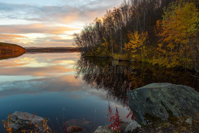 Sunset in forest lake stock photo. Image of background - 45551840