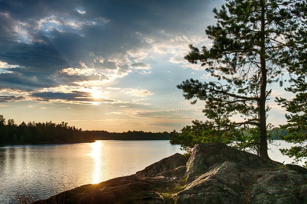 Sunset on the forest lake stock image. Image of tranquil - 43155015