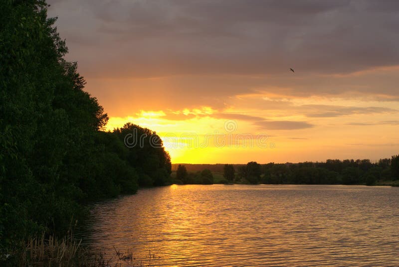 Sunset on forest lake stock photo. Image of relaxation - 38491112