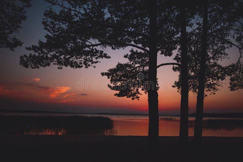Sunset in the Forest with Lake and Trees Stock Photo - Image of cloud ...