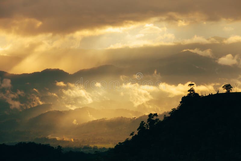 Sunset on the Forest with Mist. Stock Photo - Image of forest, clouds ...