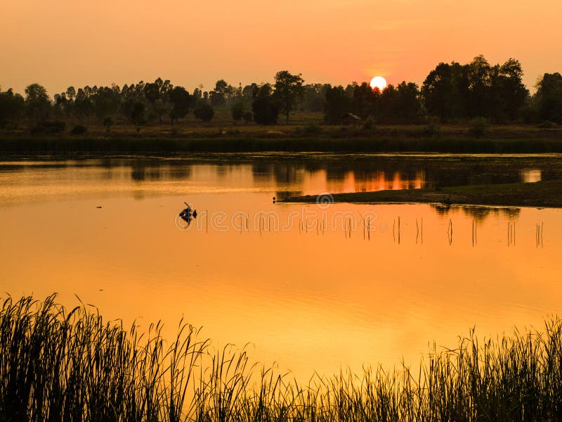 Sunset on Forest Near Small River. in Thailand Stock Image - Image of ...