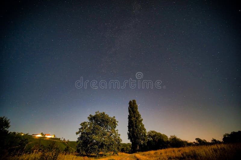 Sunset in the Forest , Night Sky with Stars, Wide Angle Stock Photo ...