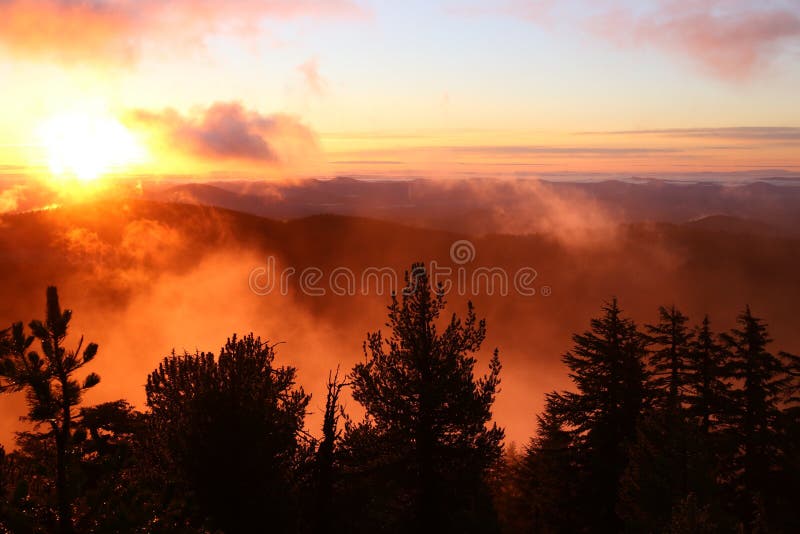Sunset in the Forest, Oregon Stock Image - Image of panorama, hill ...