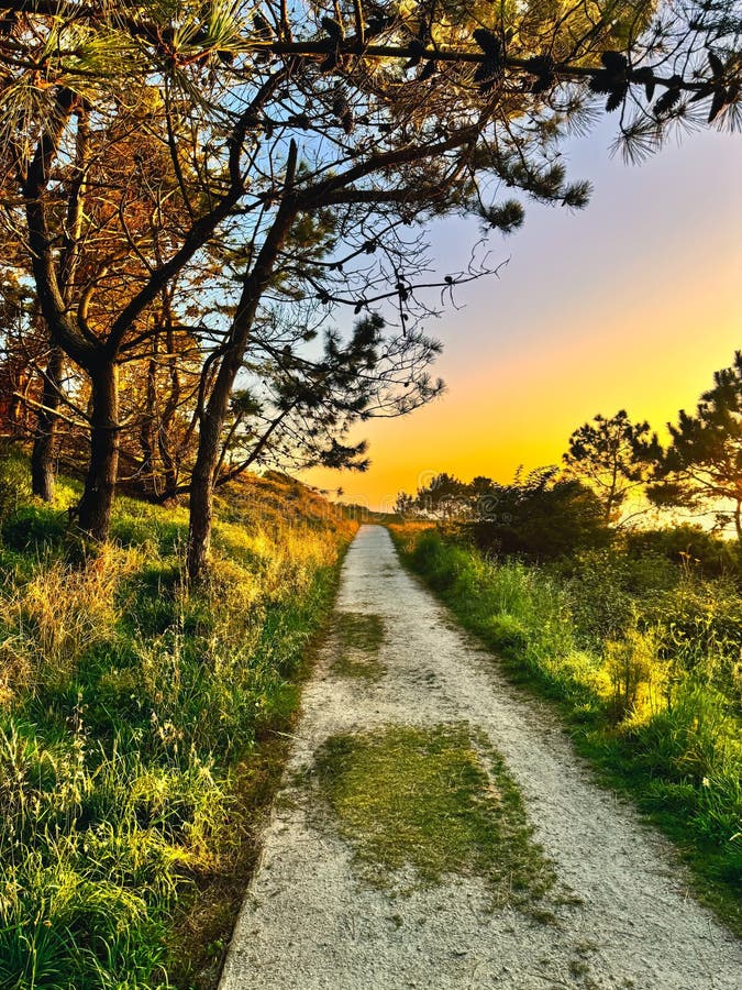 Sunset in a Forest SettingAurora, Stars and Clouds Reflecting in a Calm ...