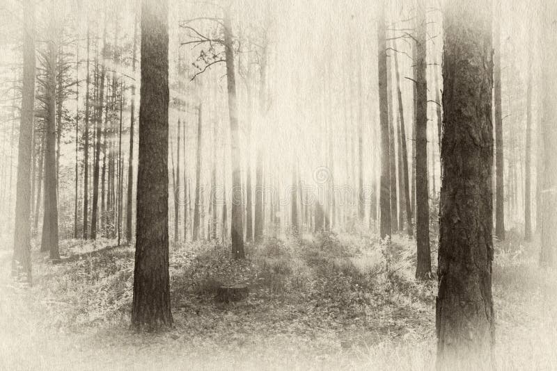 Sunset, retro illustration stock illustration. Illustration of park ...