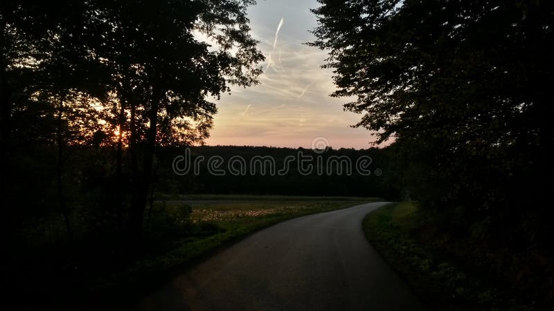 Sunset at the forest road stock photo. Image of fields - 98696188