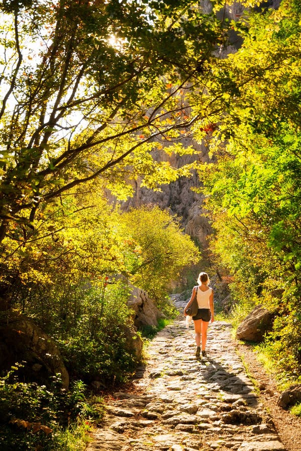 Sunset forest walk stock photo. Image of active, park - 29638220