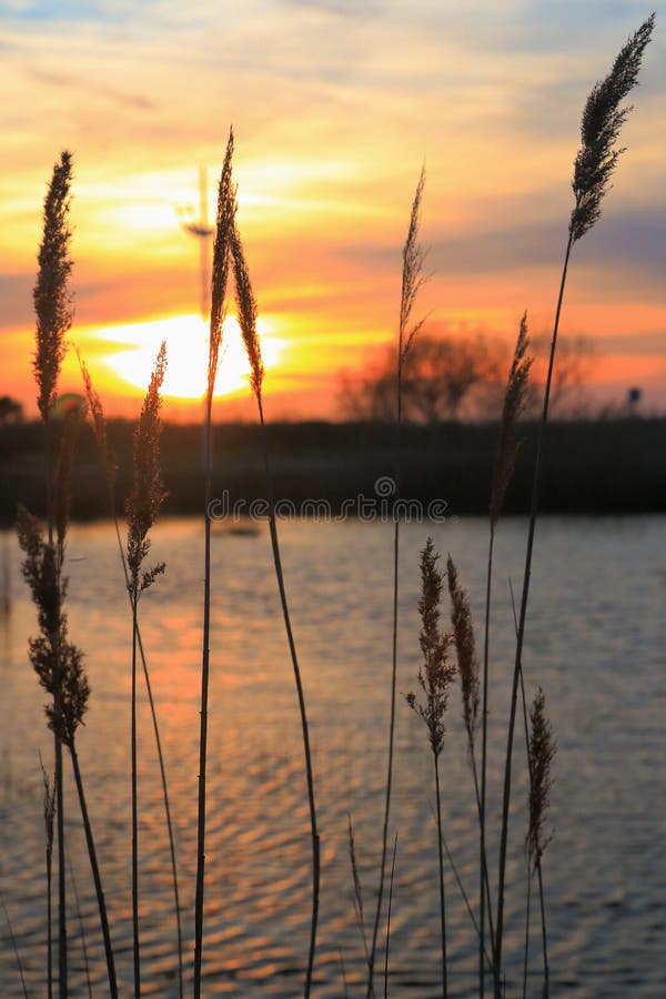 Sunset in the French Riviera Stock Image - Image of french, sunset ...