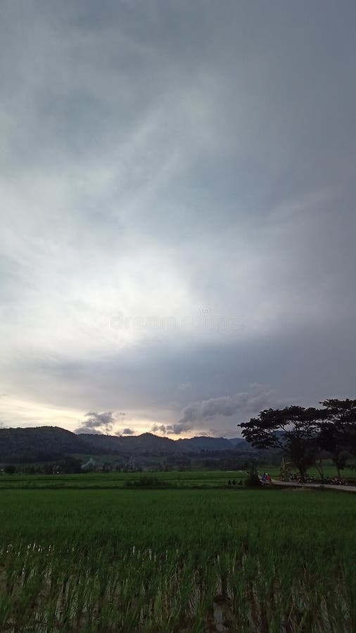 Sunset Full of Stories on the Edge of the Rice Fields Stock Photo ...
