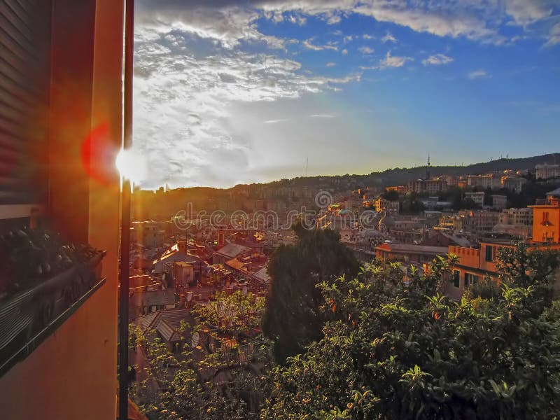 Sunset in Genoa, Italy stock photo. Image of nature, trees - 66823428