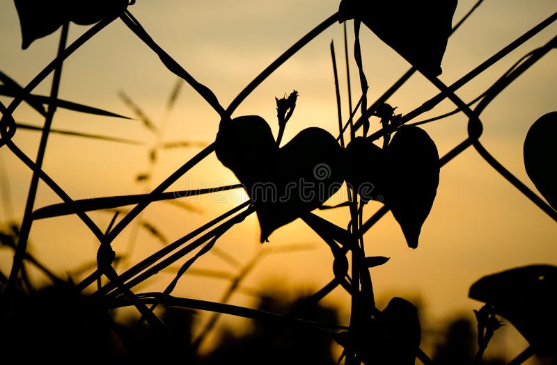 Sunset go down stock image. Image of purple, sunset - 112033563