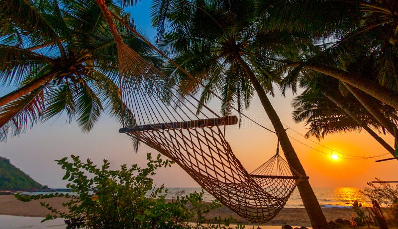 Sunset on Goa. India stock image. Image of palm, tropical - 173826975