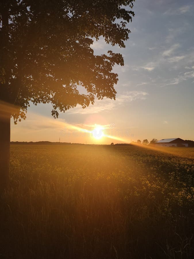 Sunset in golden hour stock photo. Image of golden, hour - 187300520