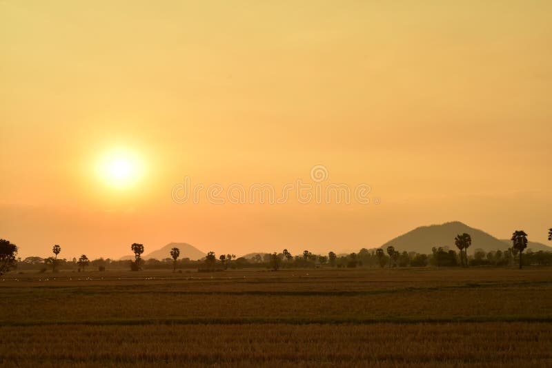 Sunset with Golden Yellow Sky Stock Image - Image of seaside, nature ...