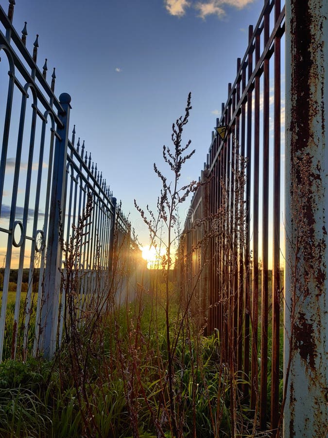 Sunset grass fence stock image. Image of fence, sunset - 183774951