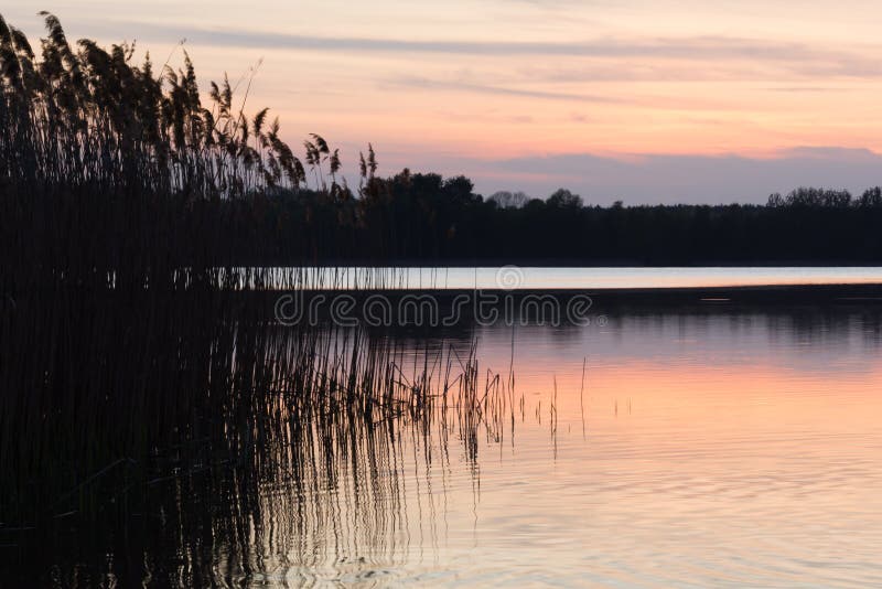 Sunset with Grass Over the Water Stock Photo - Image of mirrored ...