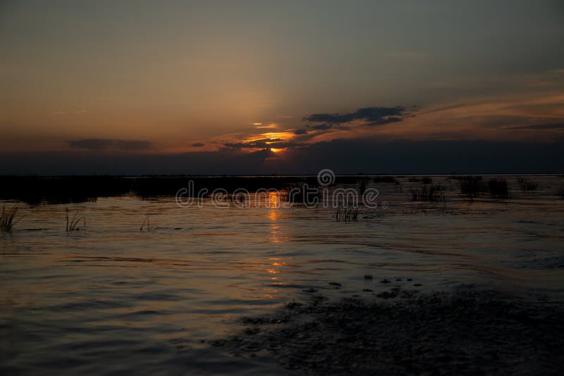 Sunset Grass on River Sunset Landscape Stock Photo - Image of blue ...