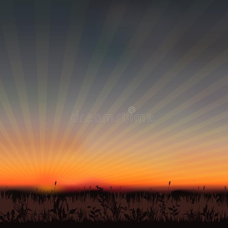 Sunset grassland stock vector. Illustration of mystic - 53872149