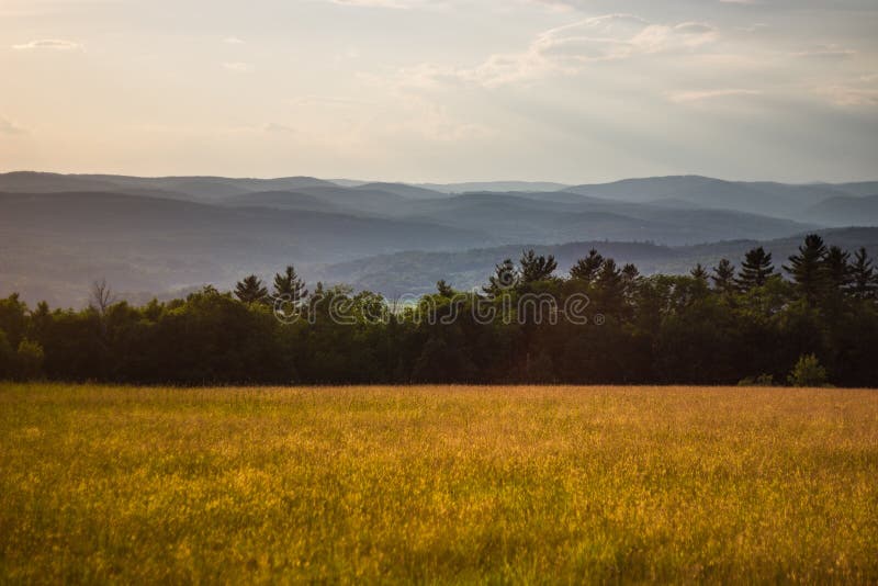 Sunset in Grassy Meadow stock image. Image of clouds - 73988479