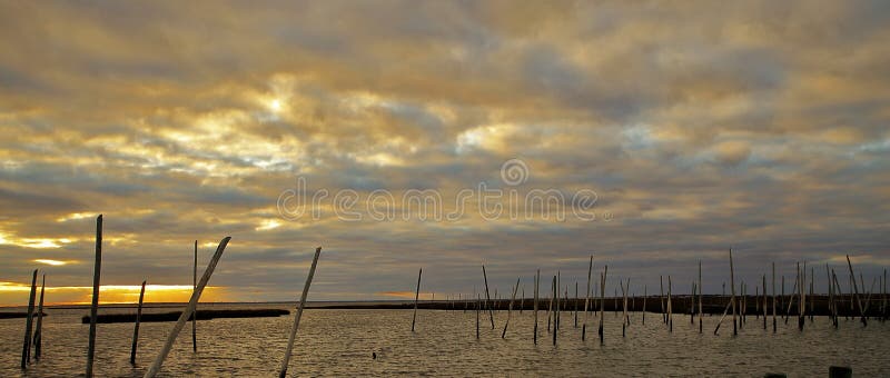 Thunder Clouds rolling in stock photo. Image of nice - 134338492