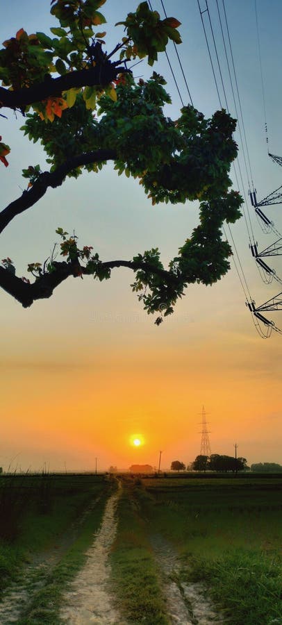 Sunset with Greenery & Electric Tower. Stock Image - Image of views ...