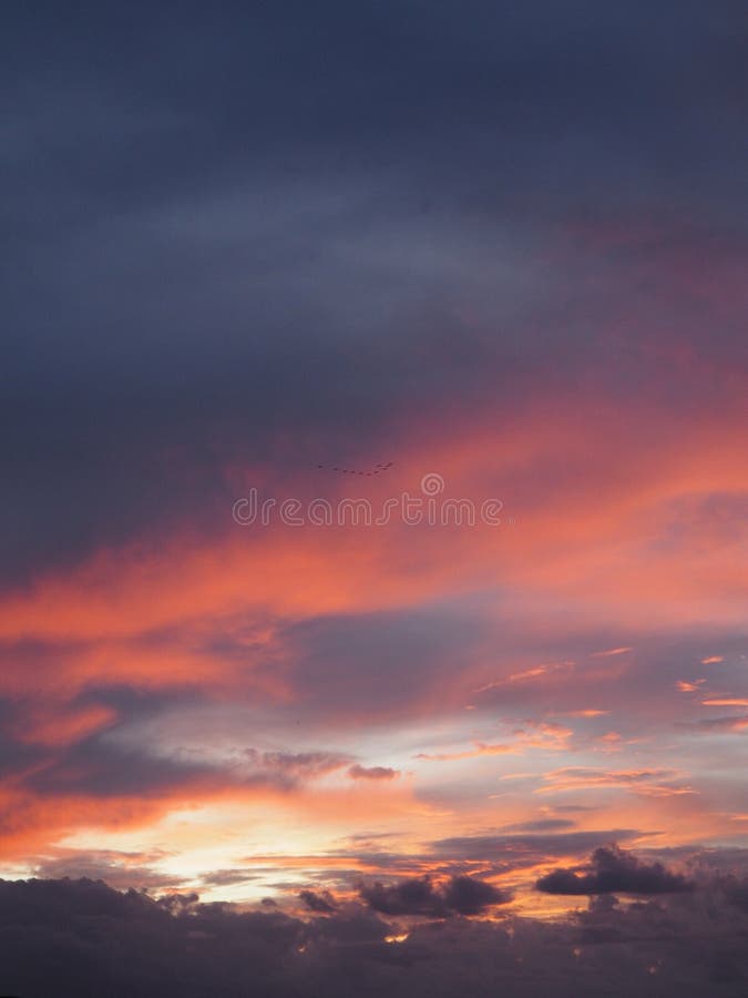 Sunset in guanacaste stock image. Image of rica, pink - 227640221