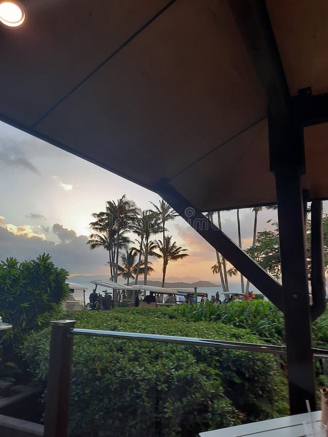 Sunset at Hamilton Island stock image. Image of palm - 220222905