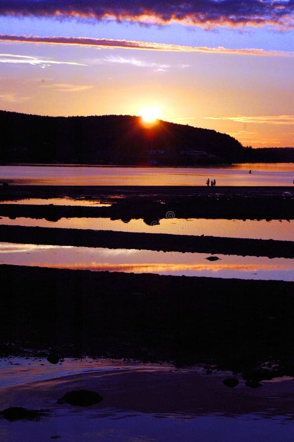 Sunset at harbor stock image. Image of maine, beaches - 11834379