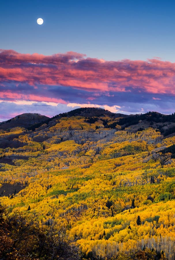 Sunset Harvest Moon and Fall Foliage Stock Photo - Image of sunset ...