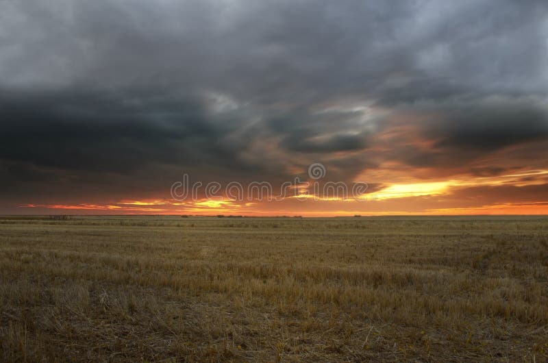 Sunset in the Harvested Wheat Field Stock Image - Image of clouds ...
