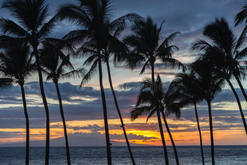 Sunset in Hawaii stock image. Image of adventure, maldives - 82891819