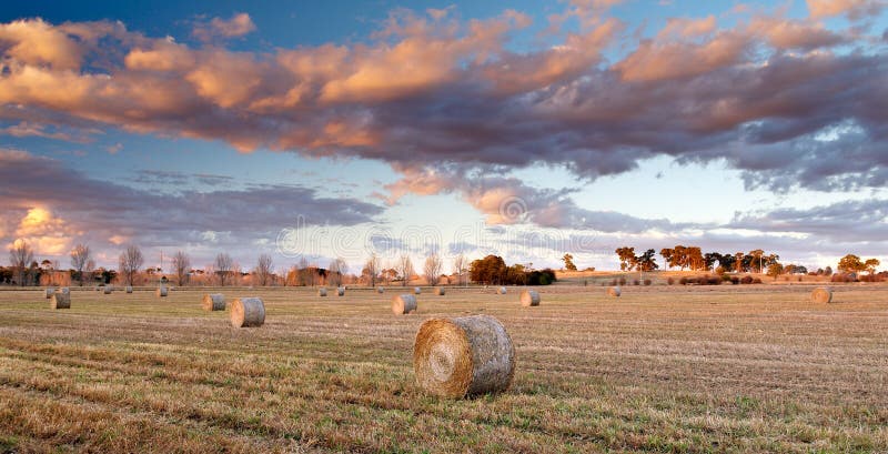 Sunset Hay Bales stock photo. Image of rural, clouds, outback - 8750334