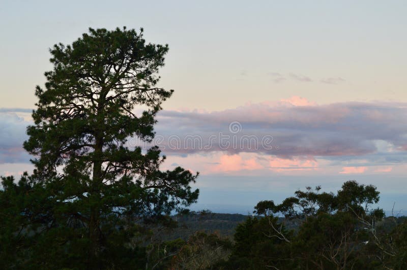 Sunset at Hazelbrook in the Blue Mountains Stock Image - Image of blue ...