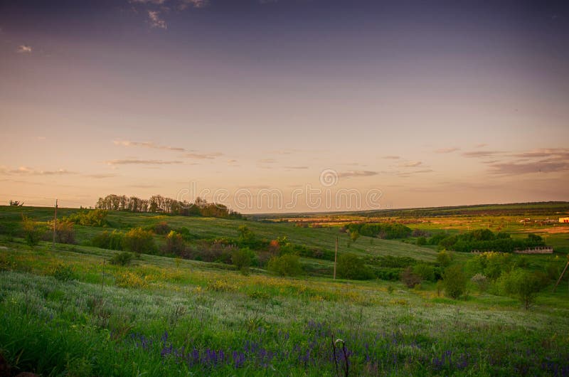 Sunset on the hill stock image. Image of reeds, tree - 54335207