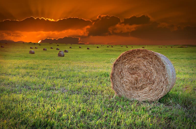 Sunset at Hilly Field with Rolls of Haystacks Stock Image - Image of ...