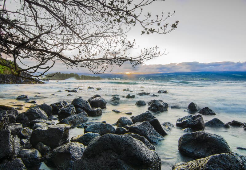 Sunset in Hilo, Hawaii stock photo. Image of tree, sunset - 37978530