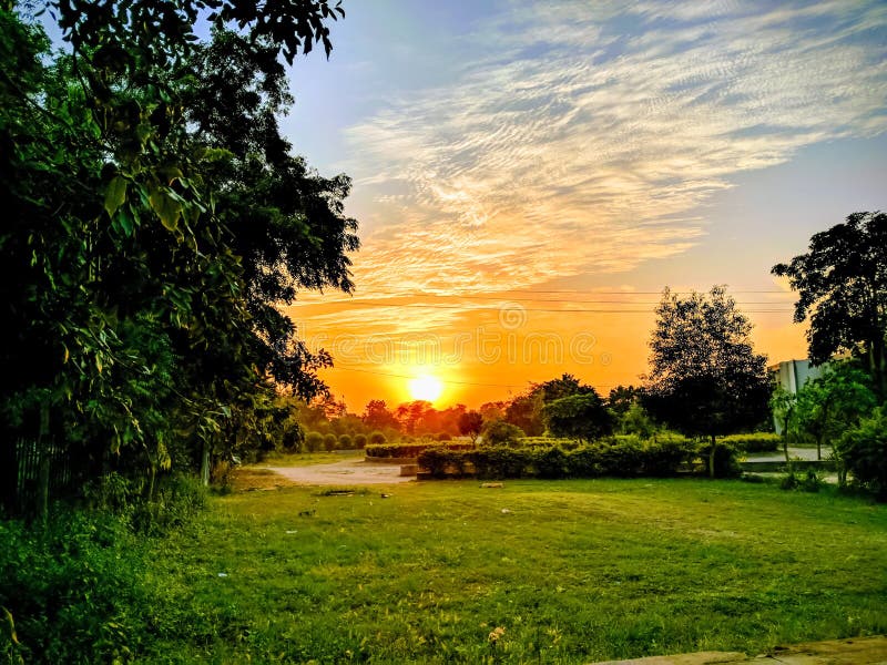 Sunset at Horizon of Garden Stock Photo - Image of evening, gardening ...