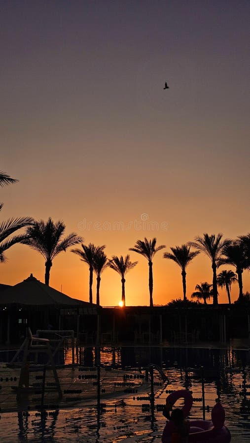 Sunset Hotel Night Egypt Nightmode Resort Sunset Editorial Photography ...