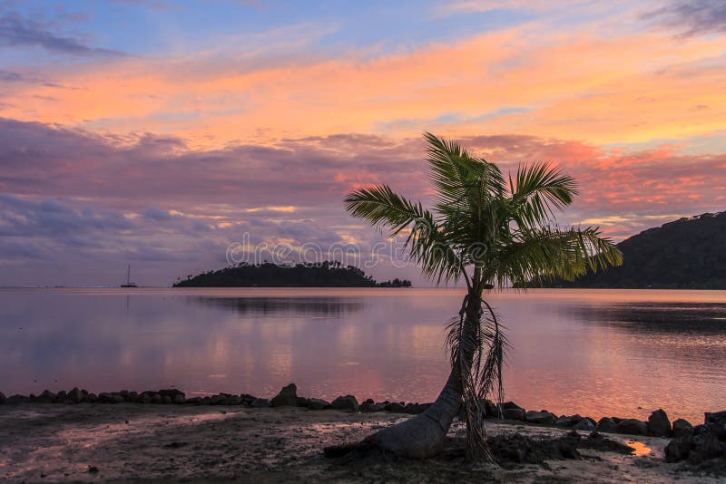 Sunset in Polynesia stock photo. Image of palm, beach - 98913610