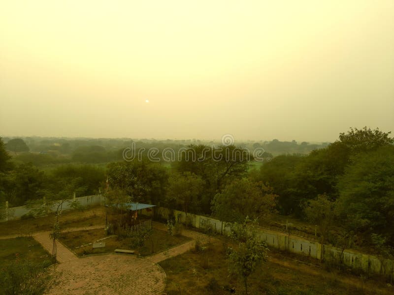 Sunset image greenery stock photo. Image of greenery - 274304874