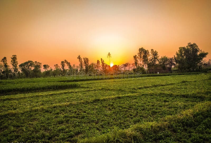 Sunset in india stock photo. Image of sunset, sunlight - 181176850