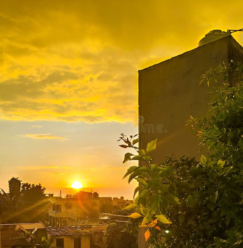 Sunset in India stock photo. Image of conservation, forest - 29905462