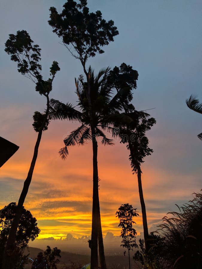 Sunset in the Indonesian Very Beautiful Stock Image - Image of tree ...