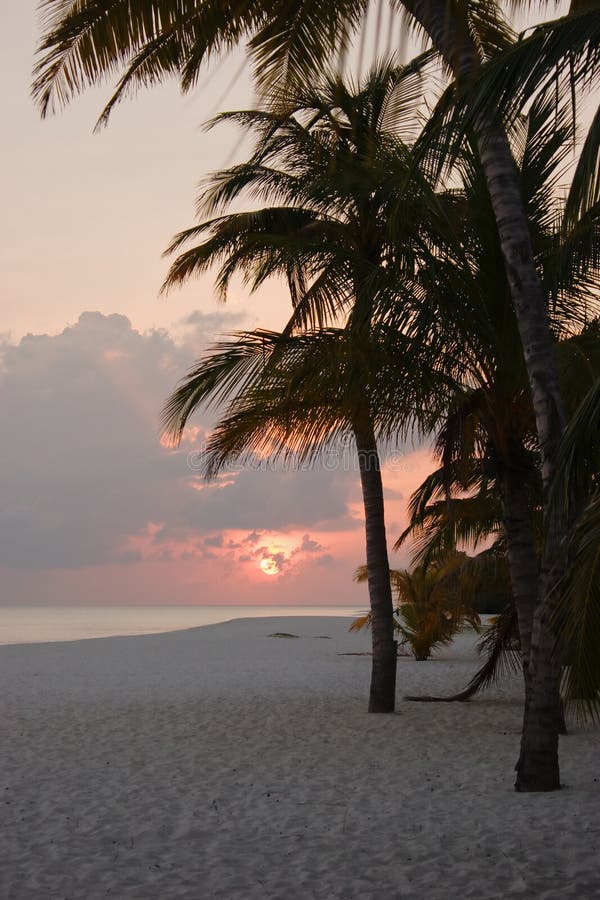 Sunset on island stock photo. Image of remote, reef, solitude - 10686084