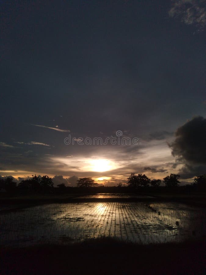 Sunset on the Island of Java Stock Image - Image of ricefield, java ...