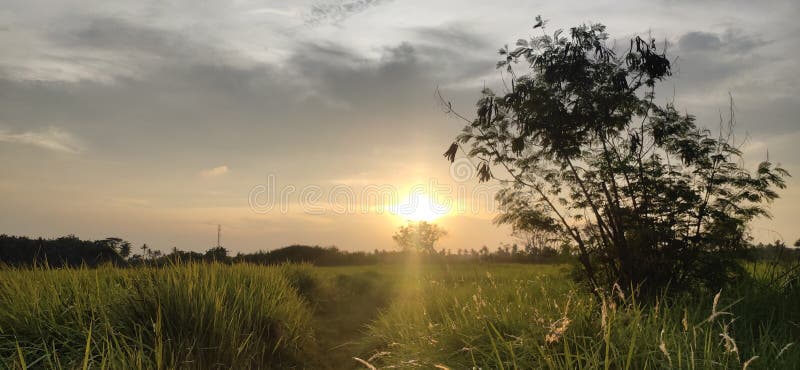 Sunset with Its Soft Rays in the Afternoon Stock Photo - Image of ...