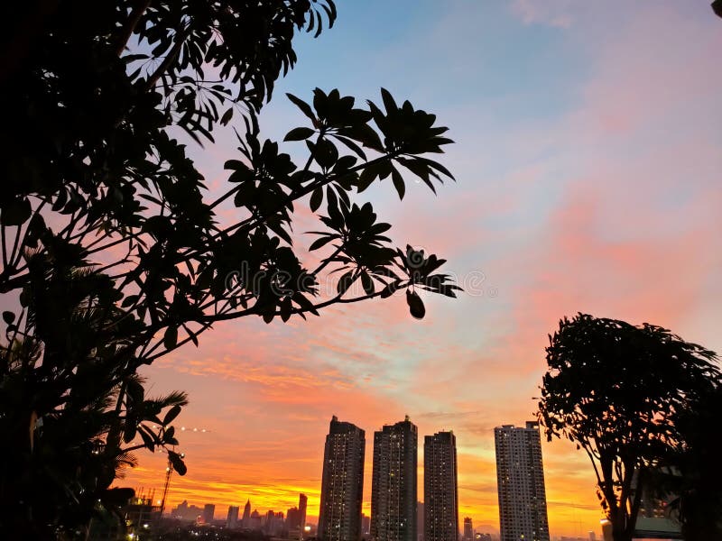 Sunset in jakarta stock photo. Image of branch, dawn - 207779614