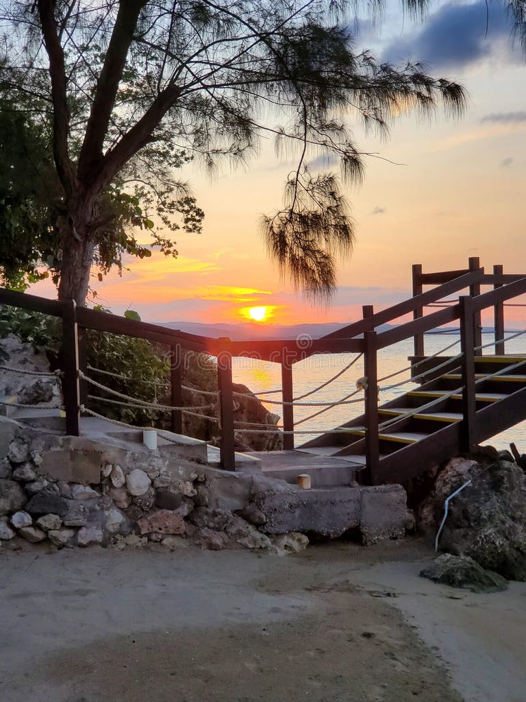 Jamica Bulb Stock Photos - Free & Royalty-Free Stock Photos from Dreamstime